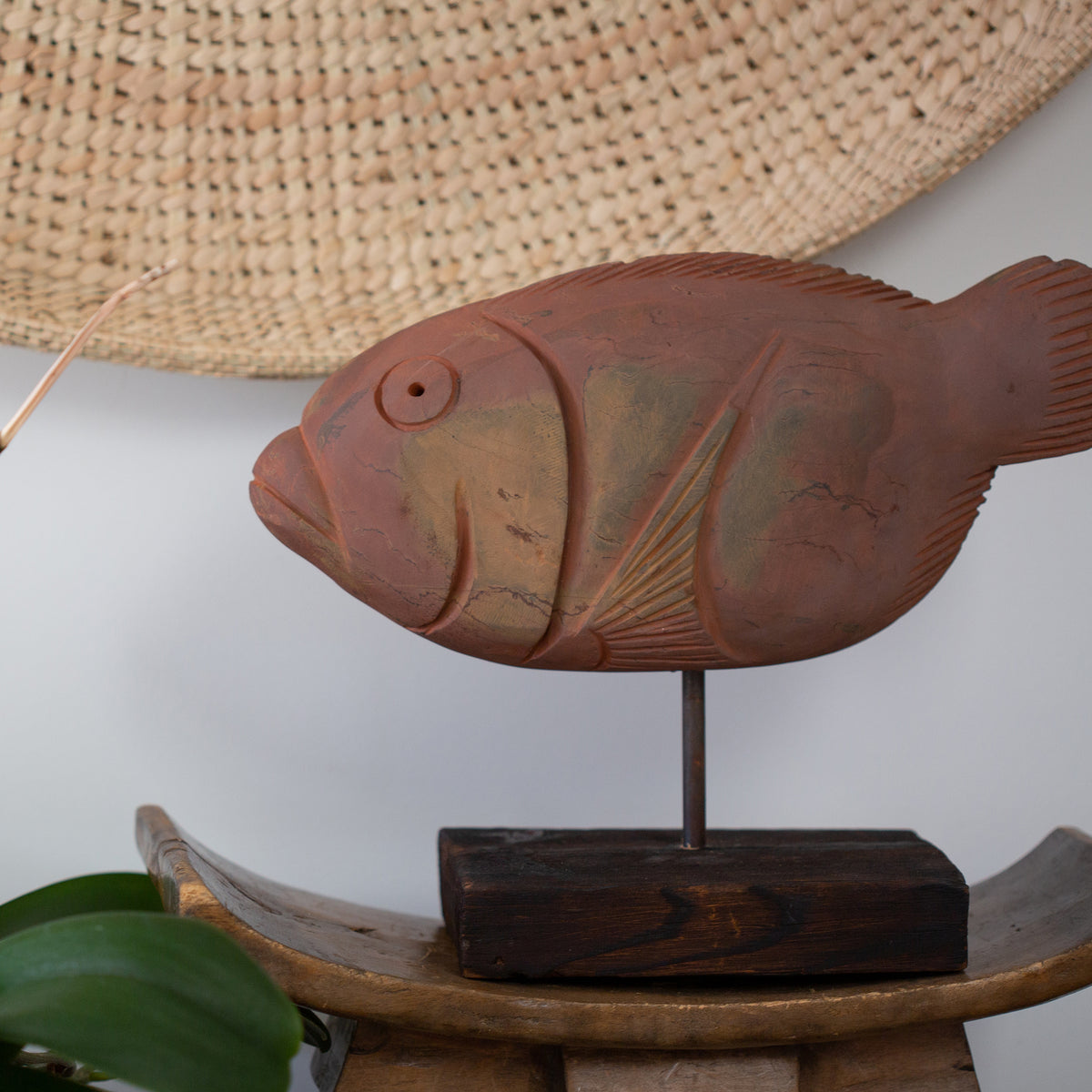 Stone Fish Terracotta Colour – Craft Enterprises