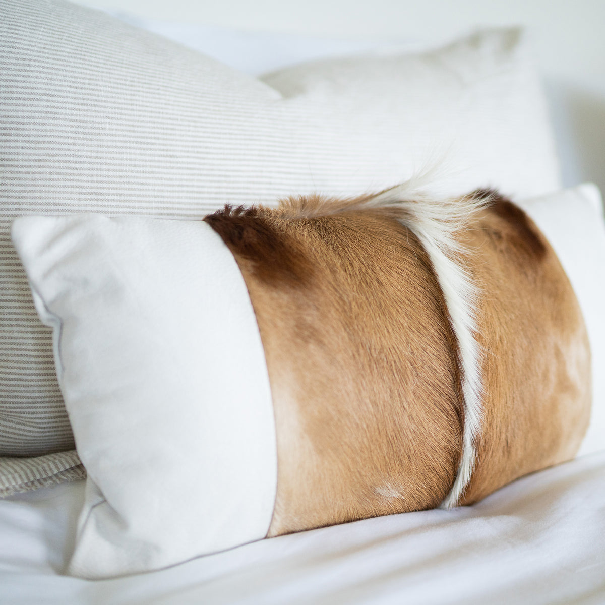 Springbok Cushion with White Leather – Craft Enterprises
